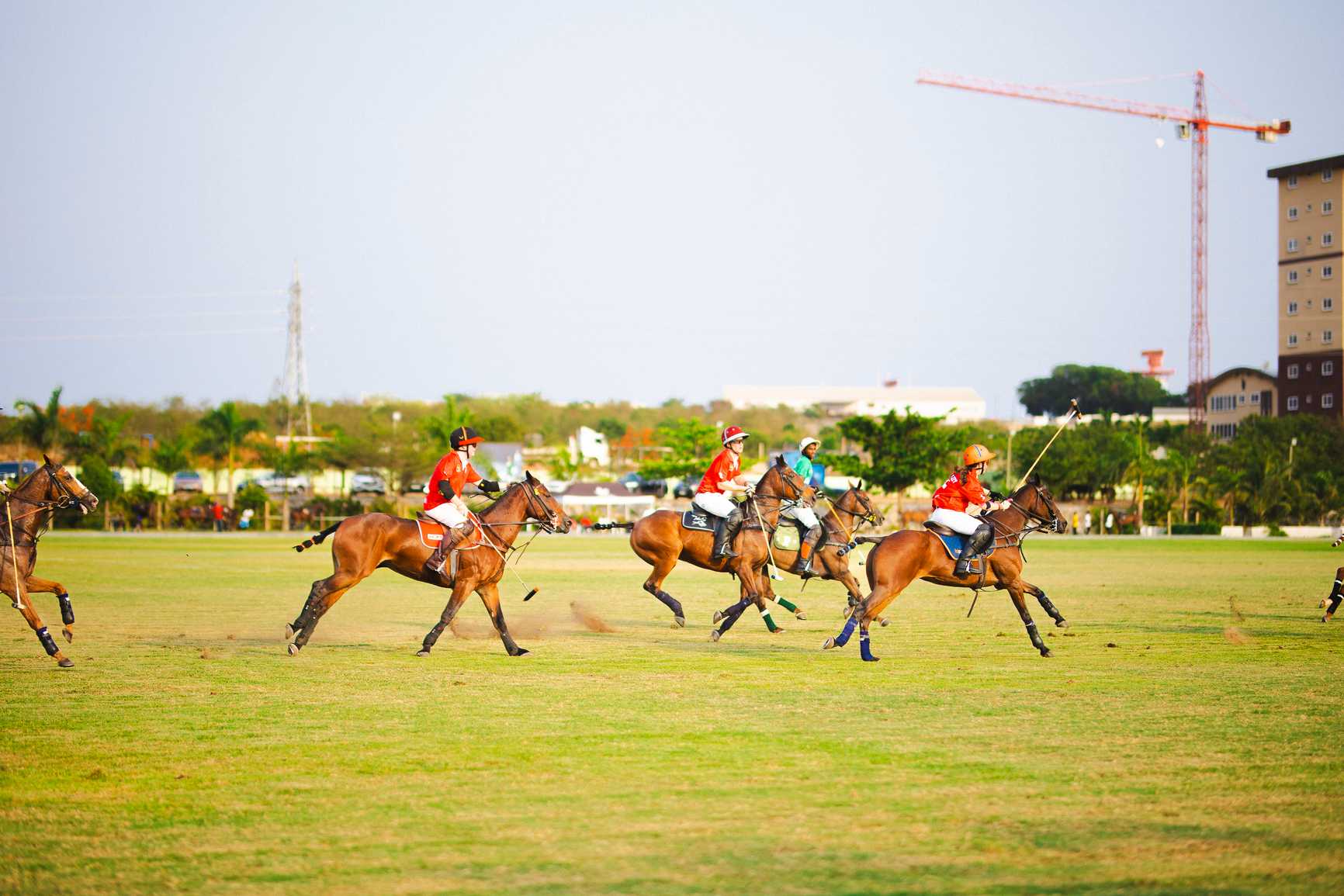 Gallery | Accra Polo Club