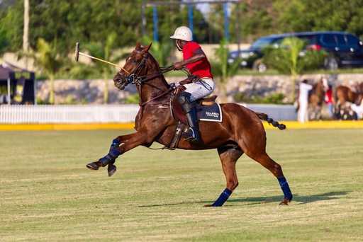 Tournaments | Accra Polo Club
