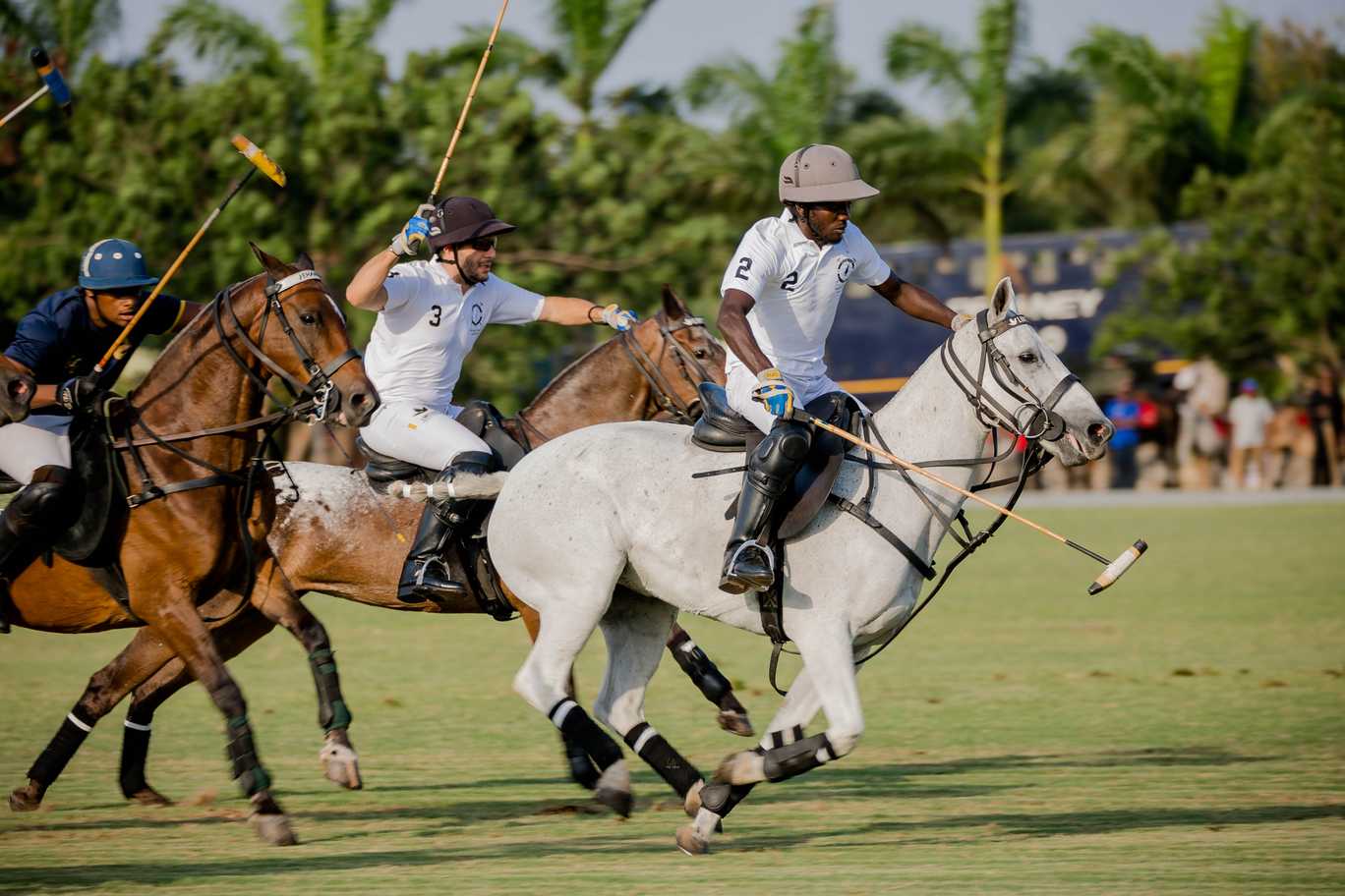 Gallery | Accra Polo Club