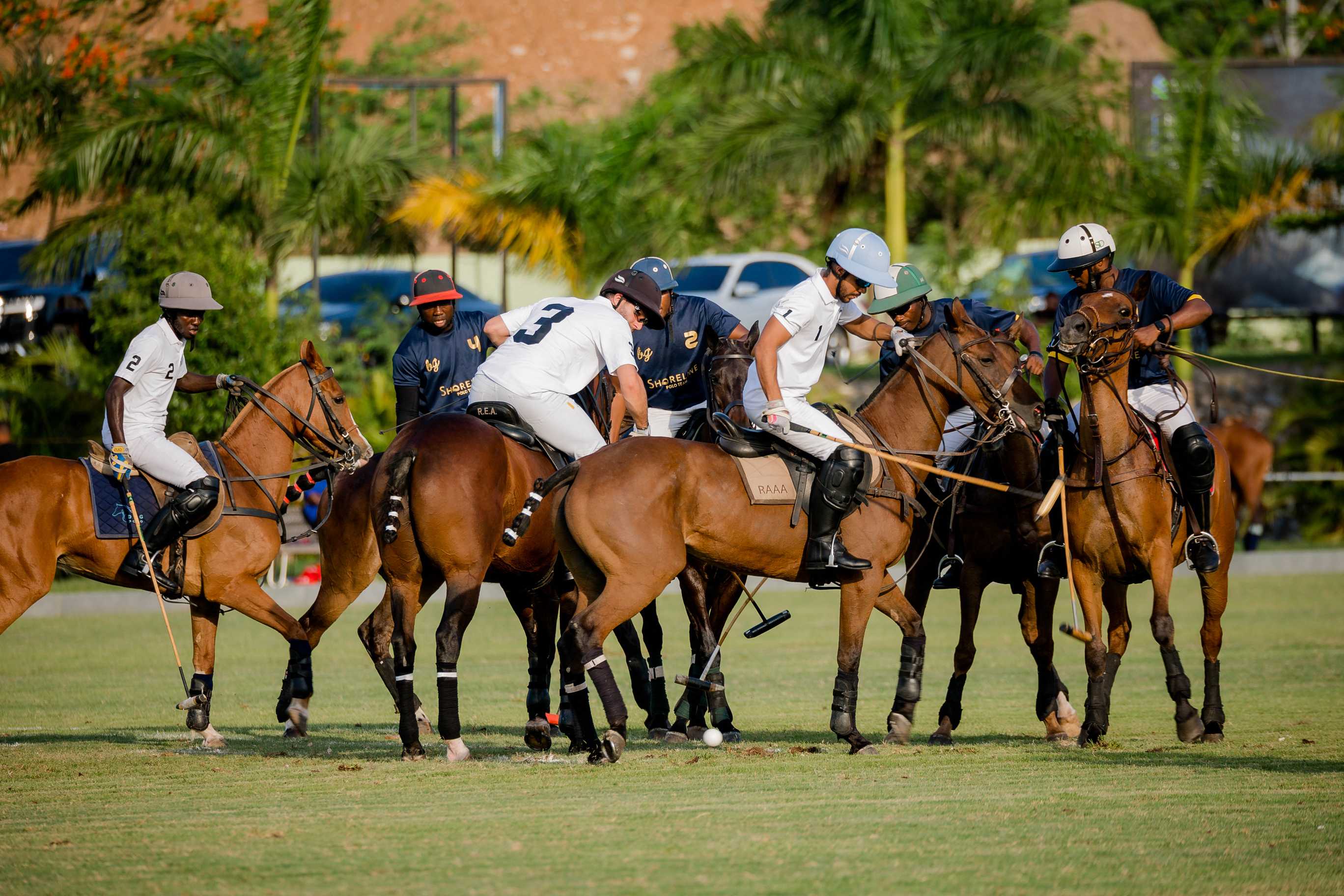 Gallery | Accra Polo Club